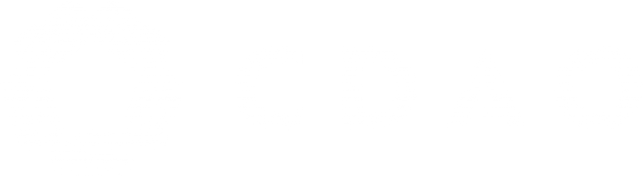 CDAO Advantage DoD 2024 - NCSI